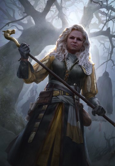 GWENT: The Witcher Card Game - Price of Power